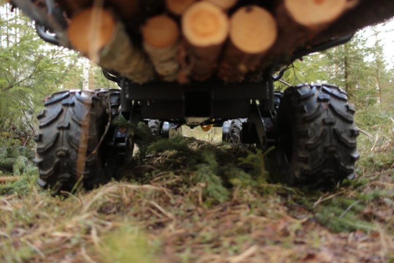 Media | Logbullet